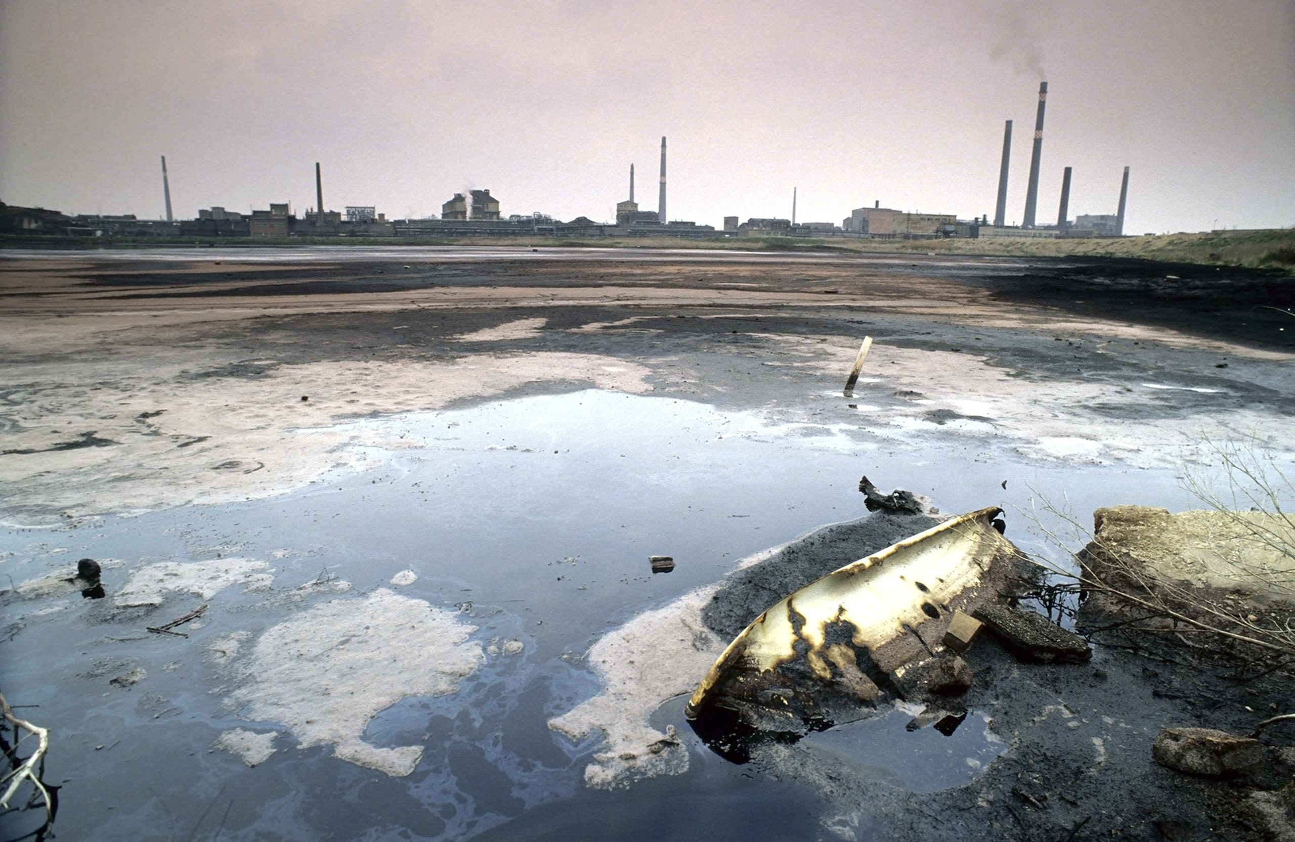 Chemiepark Bitterfeld-Wolfen blüht auf